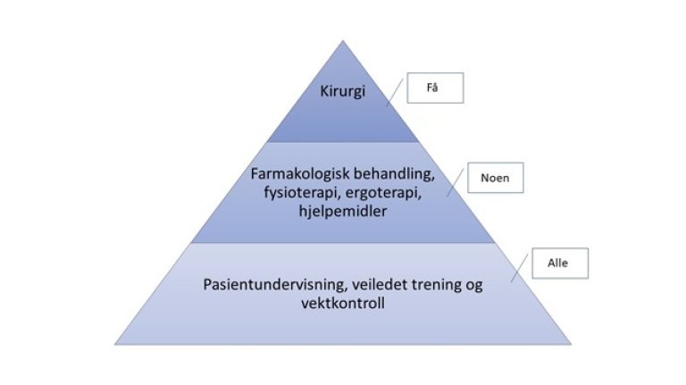 Tilrettelagt artrosespesifikk trening bør sammen med informasjon og ...